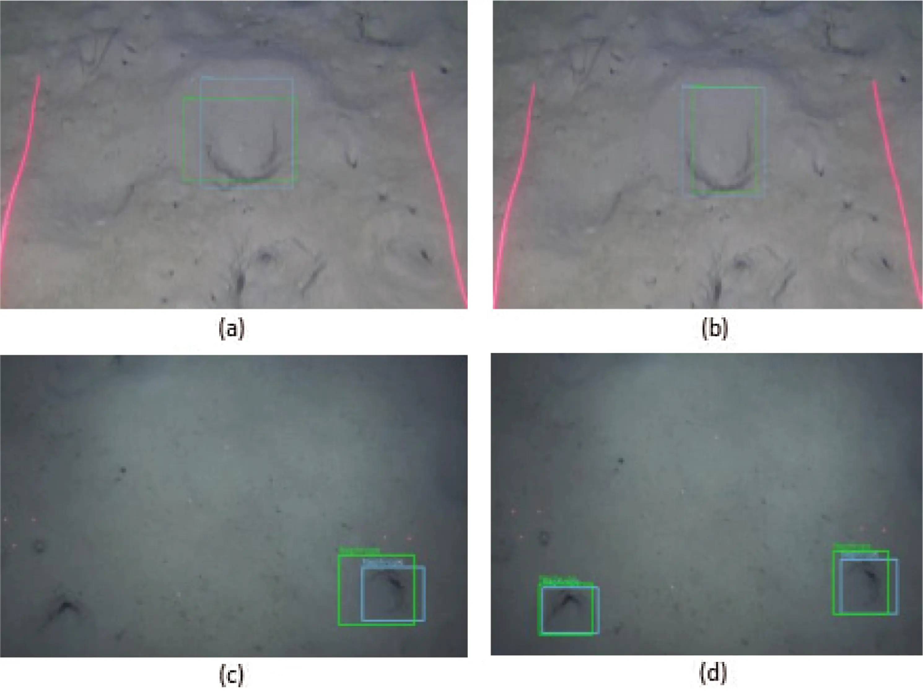 Automatic Detection of Nephrops Norvegicus Burrows from Underwater ...