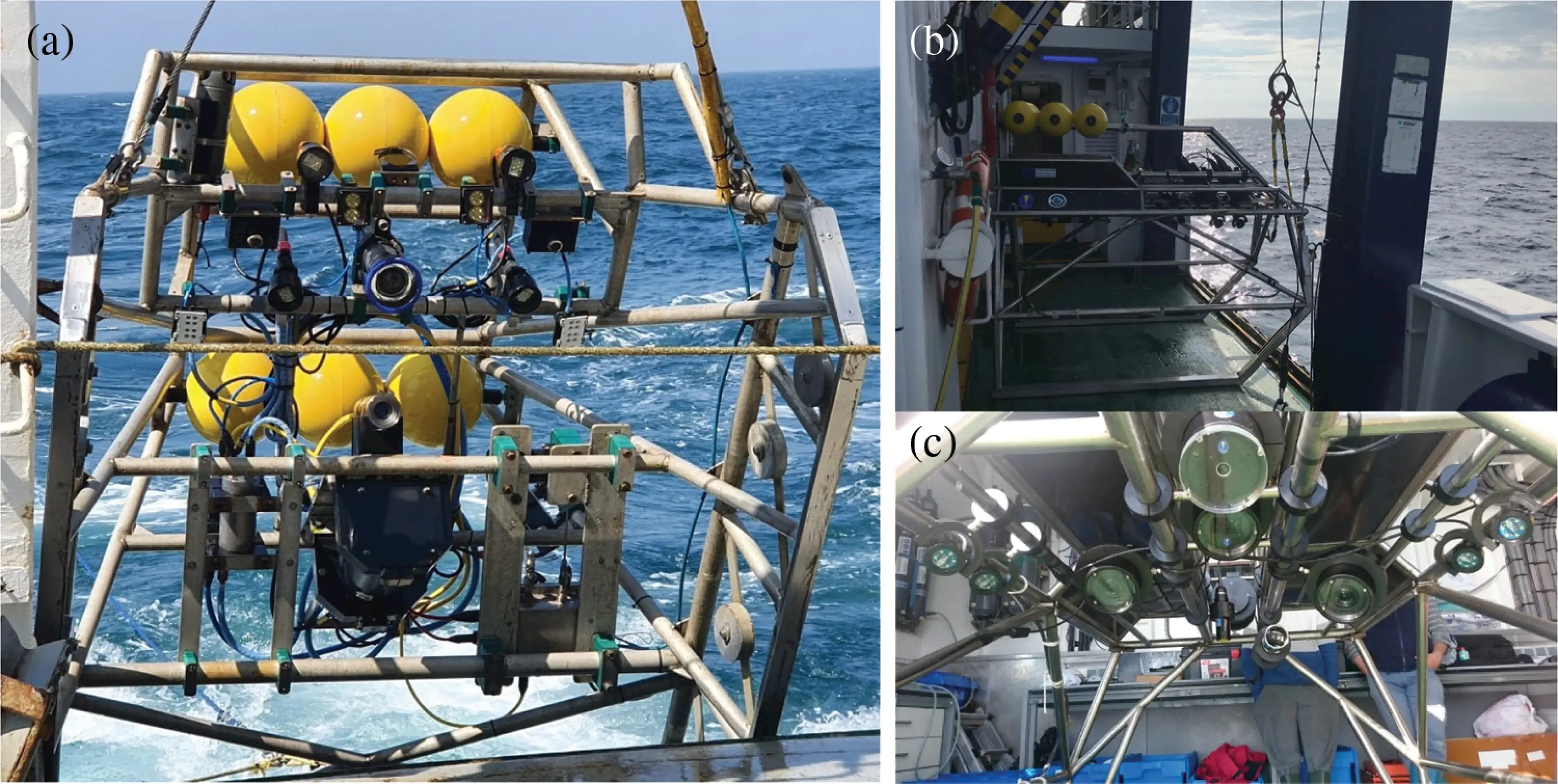 Automatic Detection of Nephrops Norvegicus Burrows from Underwater ...