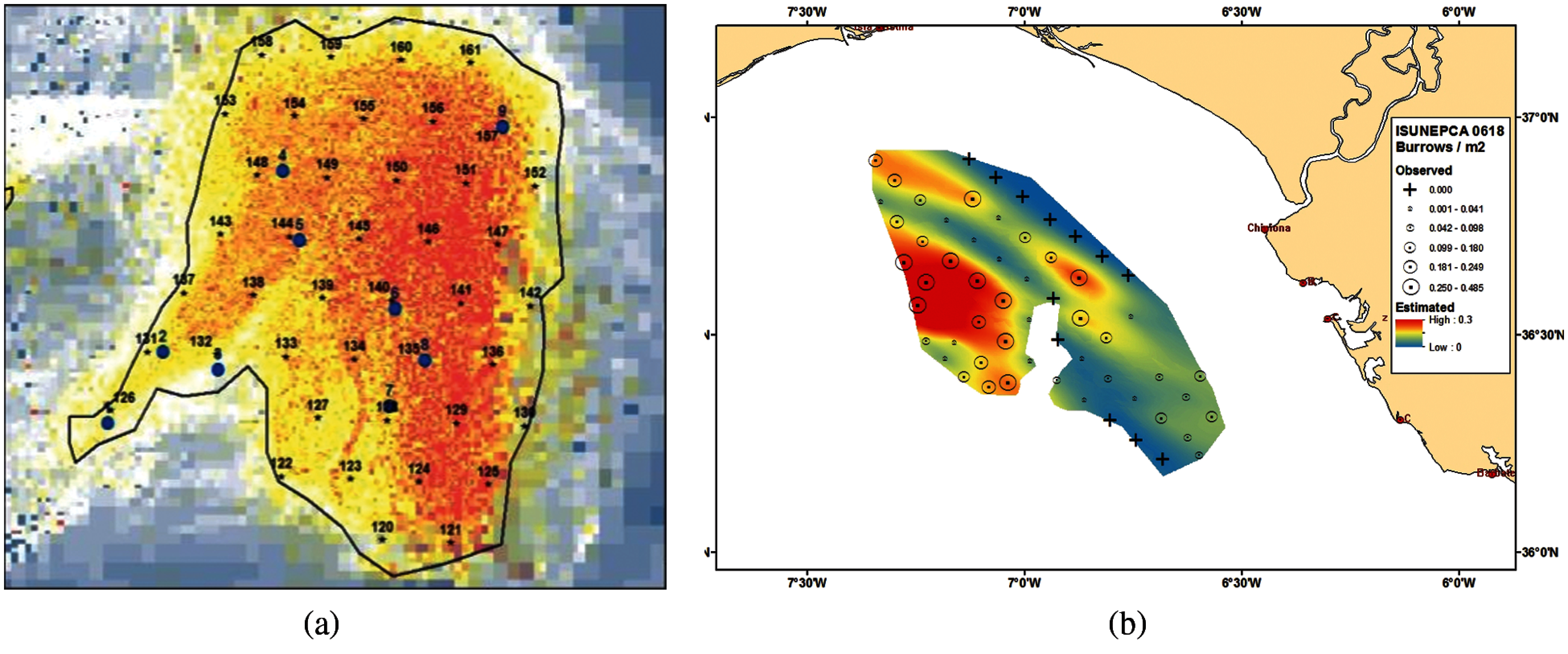 Automatic Detection of Nephrops Norvegicus Burrows from Underwater ...