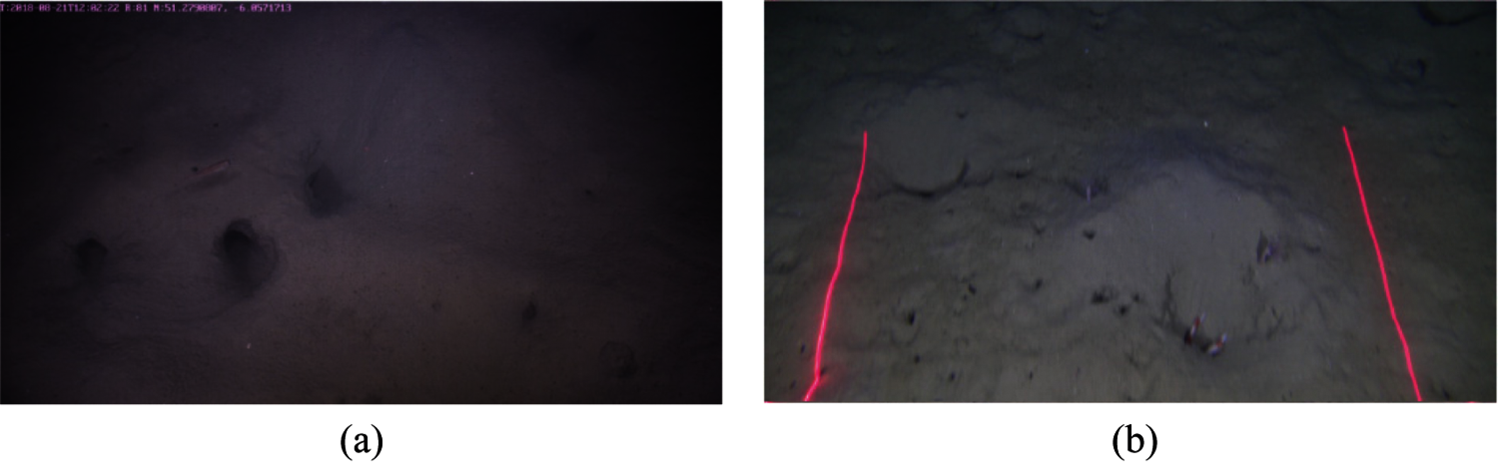 Automatic Detection of Nephrops Norvegicus Burrows from Underwater ...