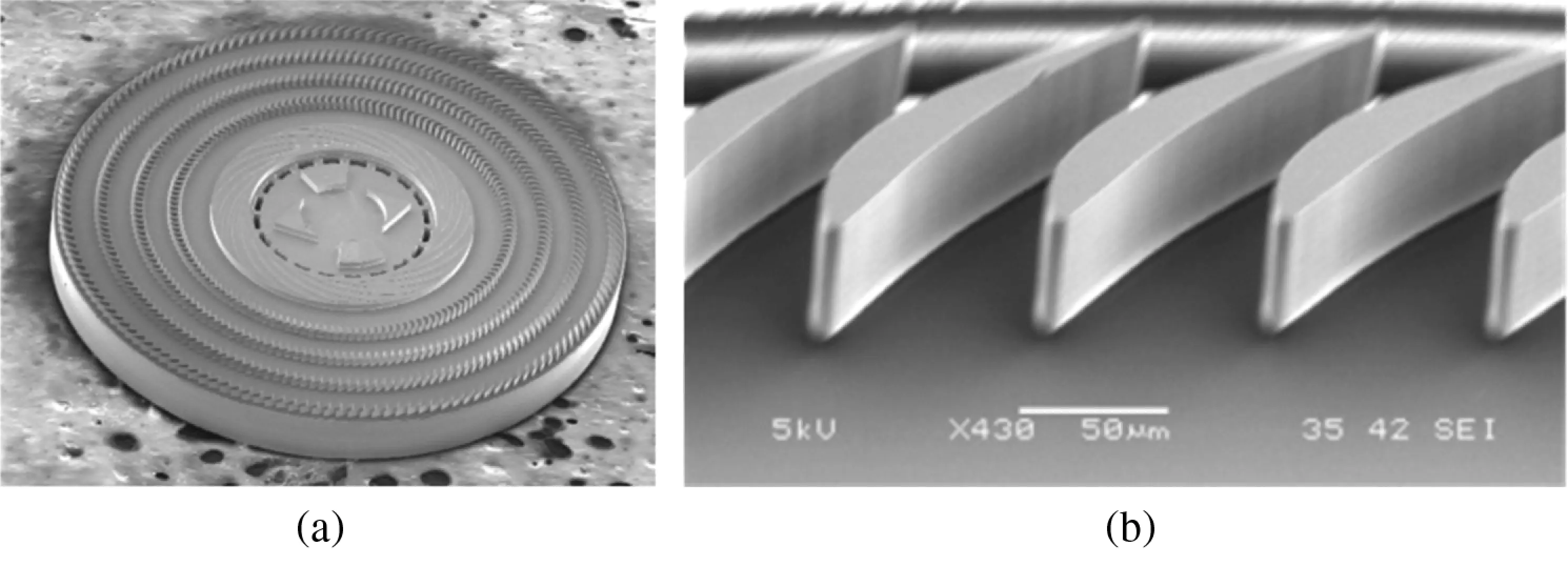 Analysis of Flow Structure in Microturbine Operating at Low Reynolds Number
