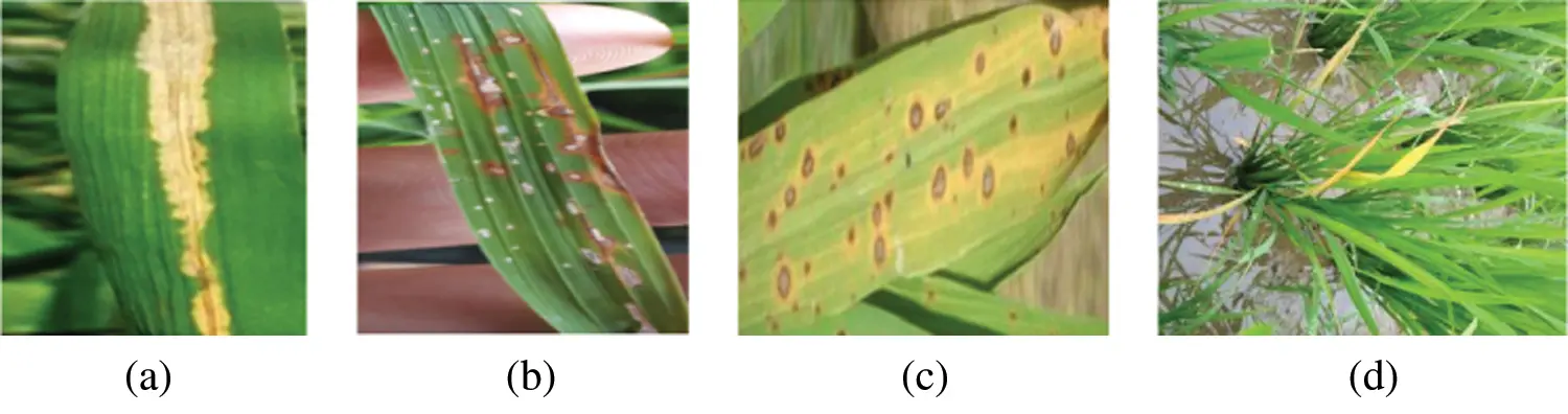 Plant Disease Diagnosis and Image Classification Using Deep Learning