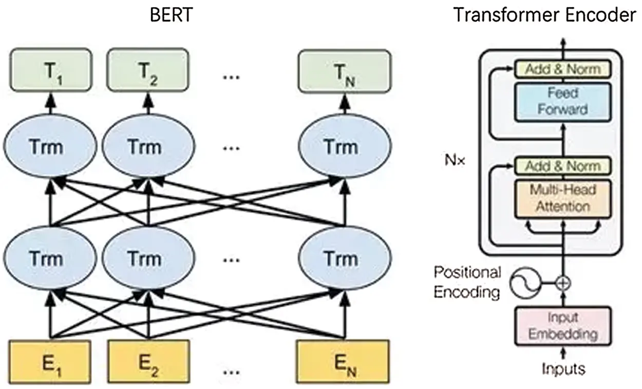 BERT-CNN: A Deep Learning Model for Detecting Emotions from Text