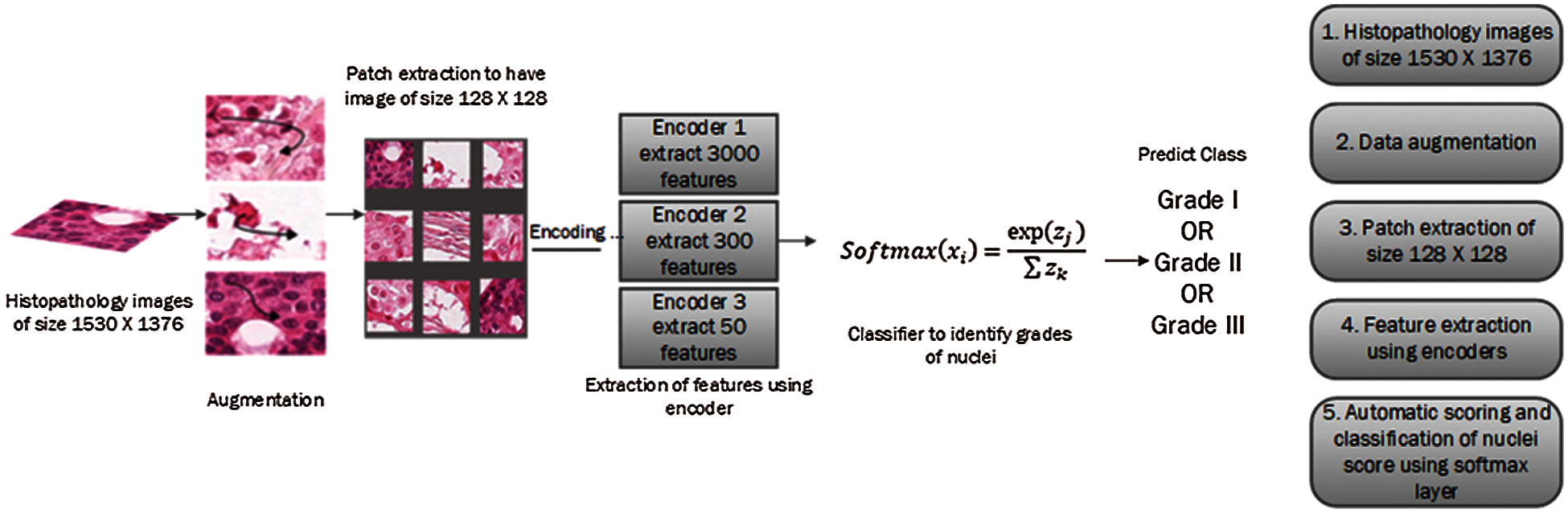Automated Grading of Breast Cancer Histopathology Images Using ...