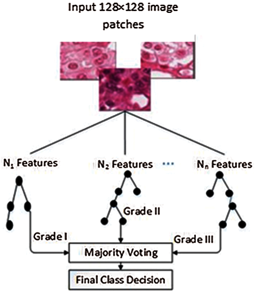 Automated Grading of Breast Cancer Histopathology Images Using ...