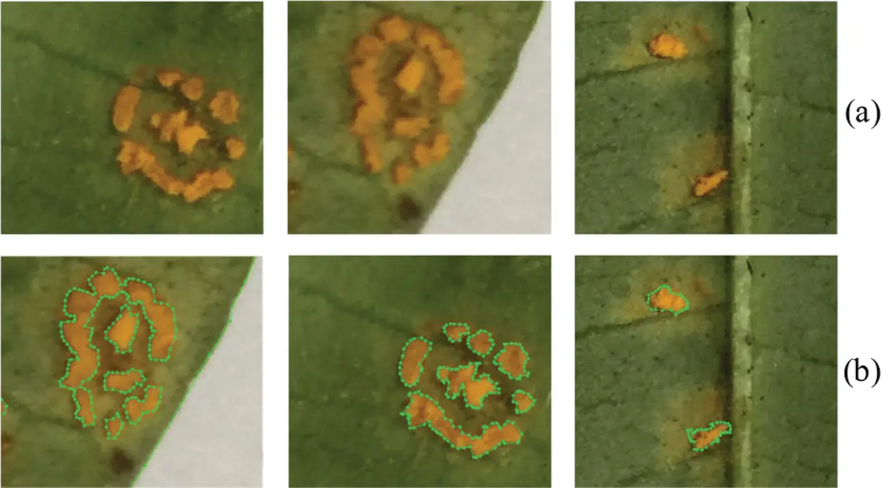 Multi-Scale Image Segmentation Model for Fine-Grained Recognition of Zanthoxylum Rust