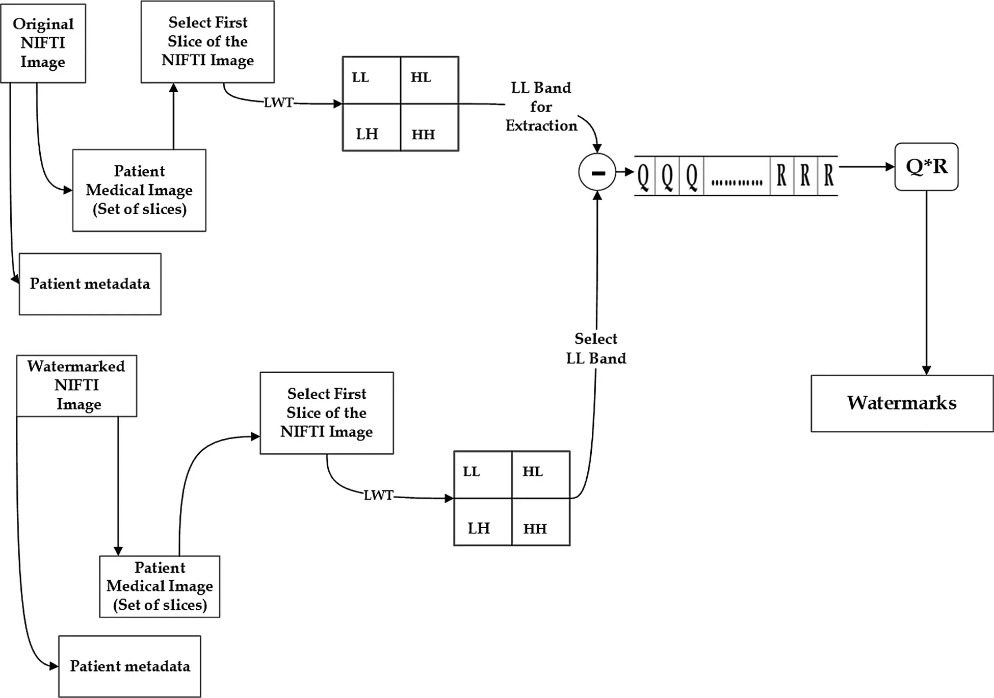 Robust Watermarking Scheme for NIfTI Medical Images