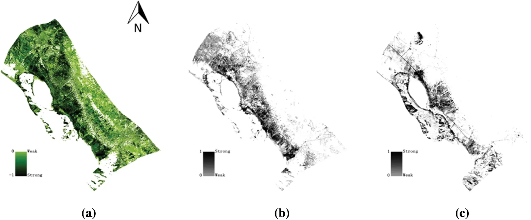Evolution of Desertification Types on the North Shore of Qinghai Lake