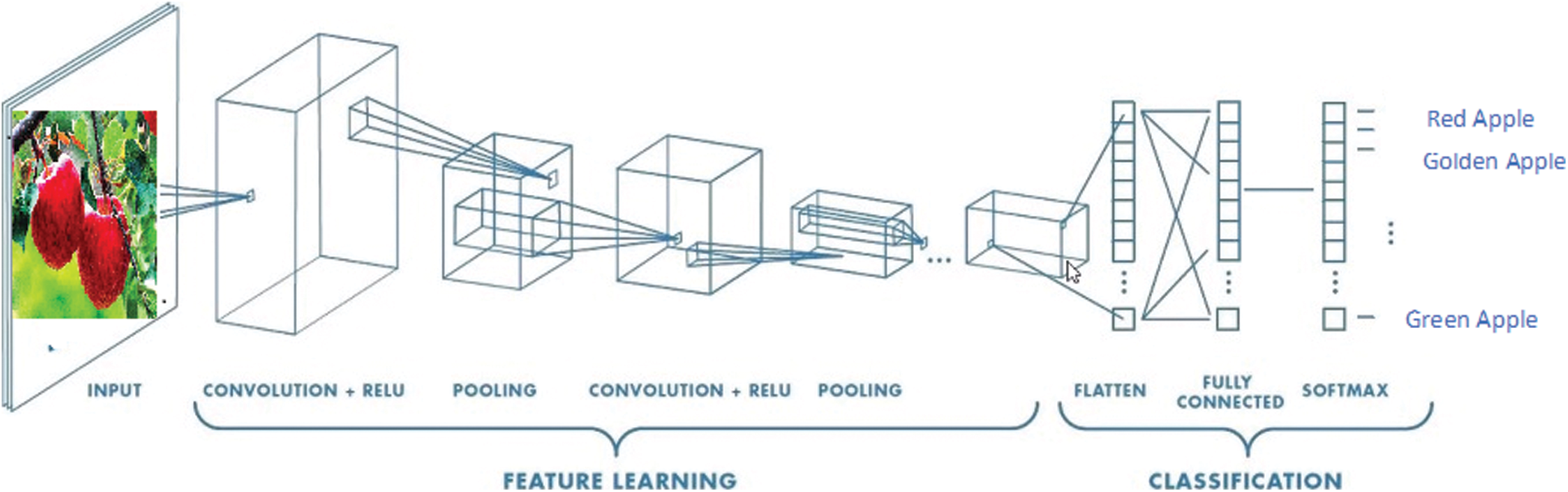 Fruit Image Classification Using Deep Learning