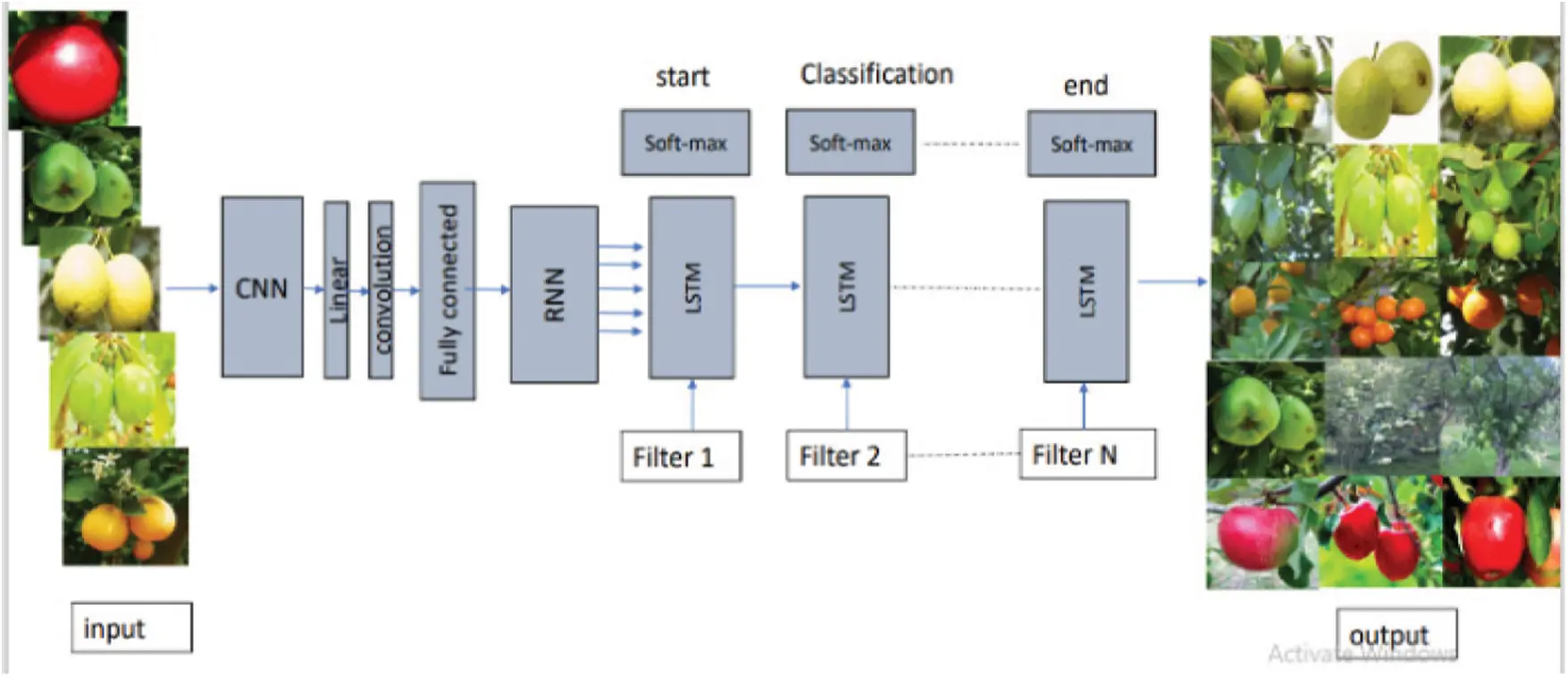 Fruit Image Classification Using Deep Learning
