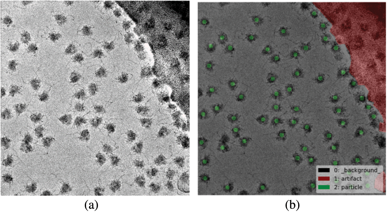 Urdnet: A Cryo-EM Particle Automatic Picking Method
