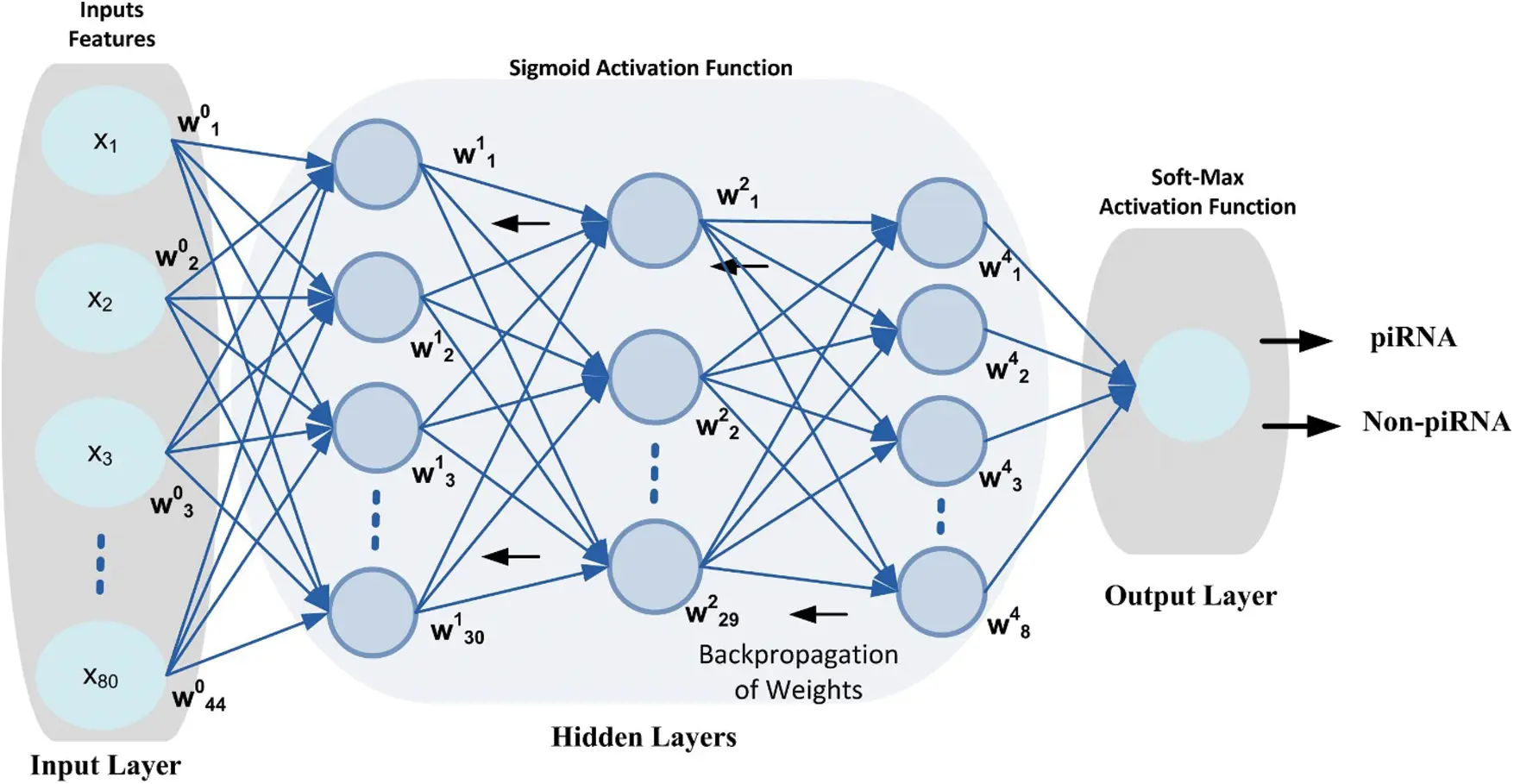 Deep-piRNA: Bi-Layered Prediction Model for PIWI-Interacting RNA Using Discriminative Features
