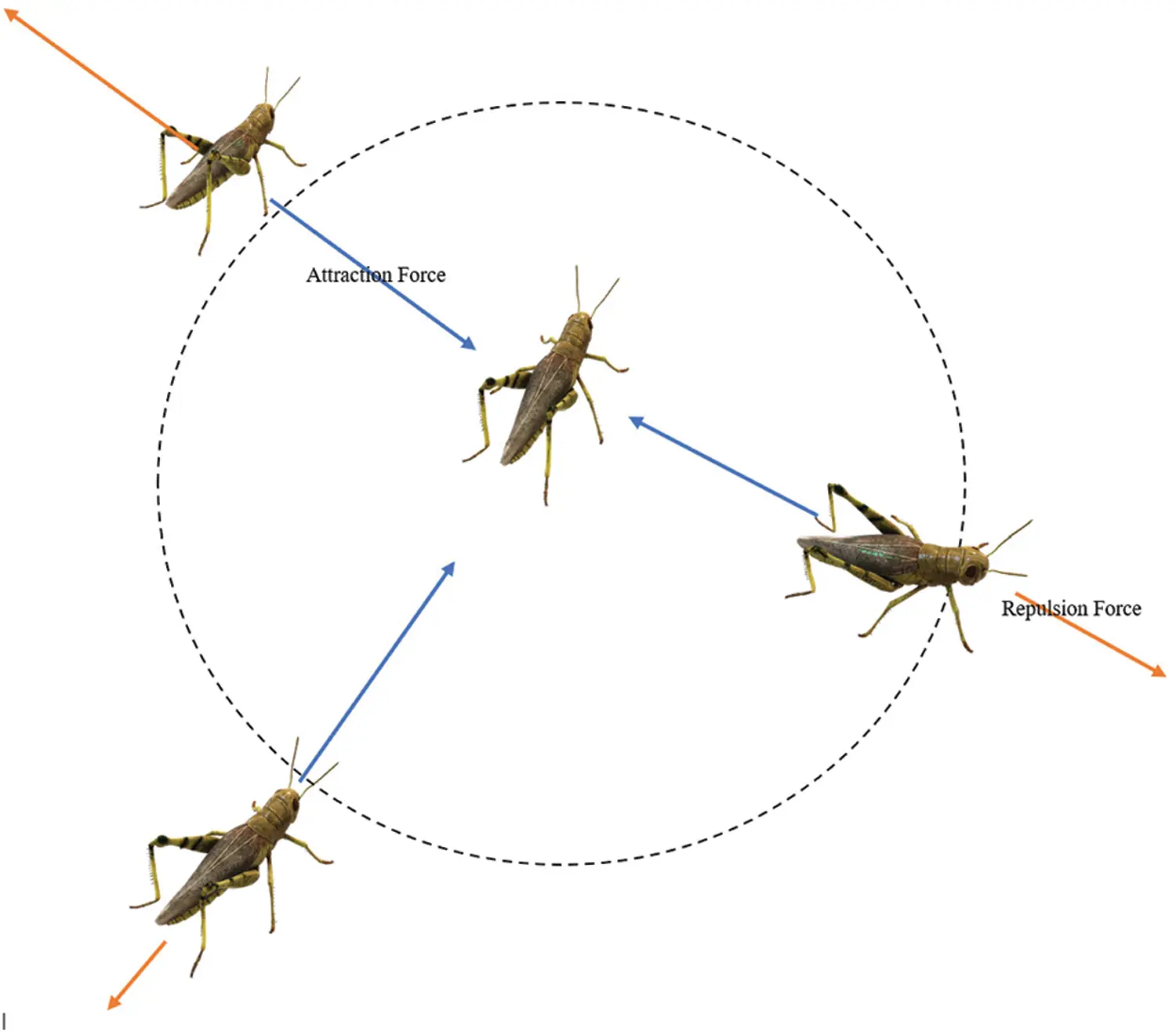 Grasshopper KUWAHARA and Gradient Boosting Tree for Optimal Features ...