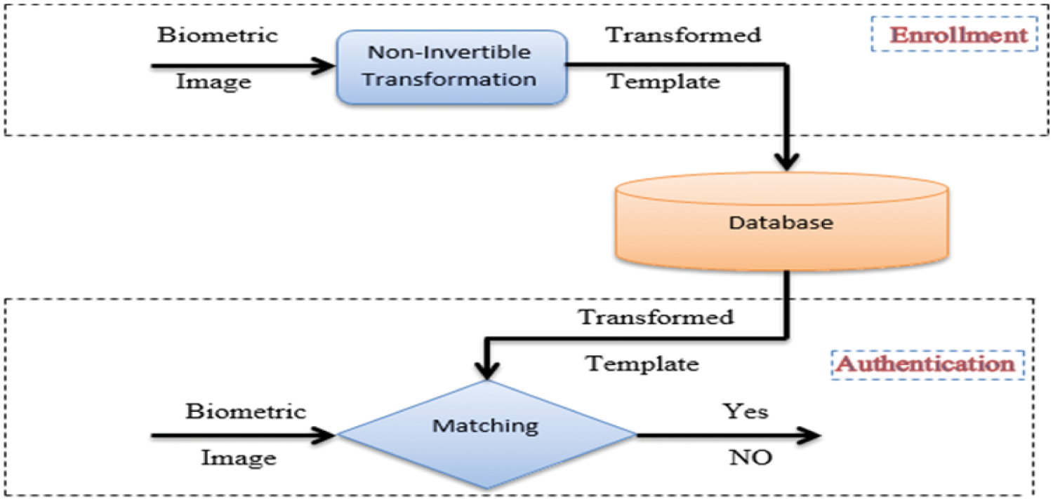 Cancellable Multi-Biometric Template Generation Based on Arnold Cat Map ...