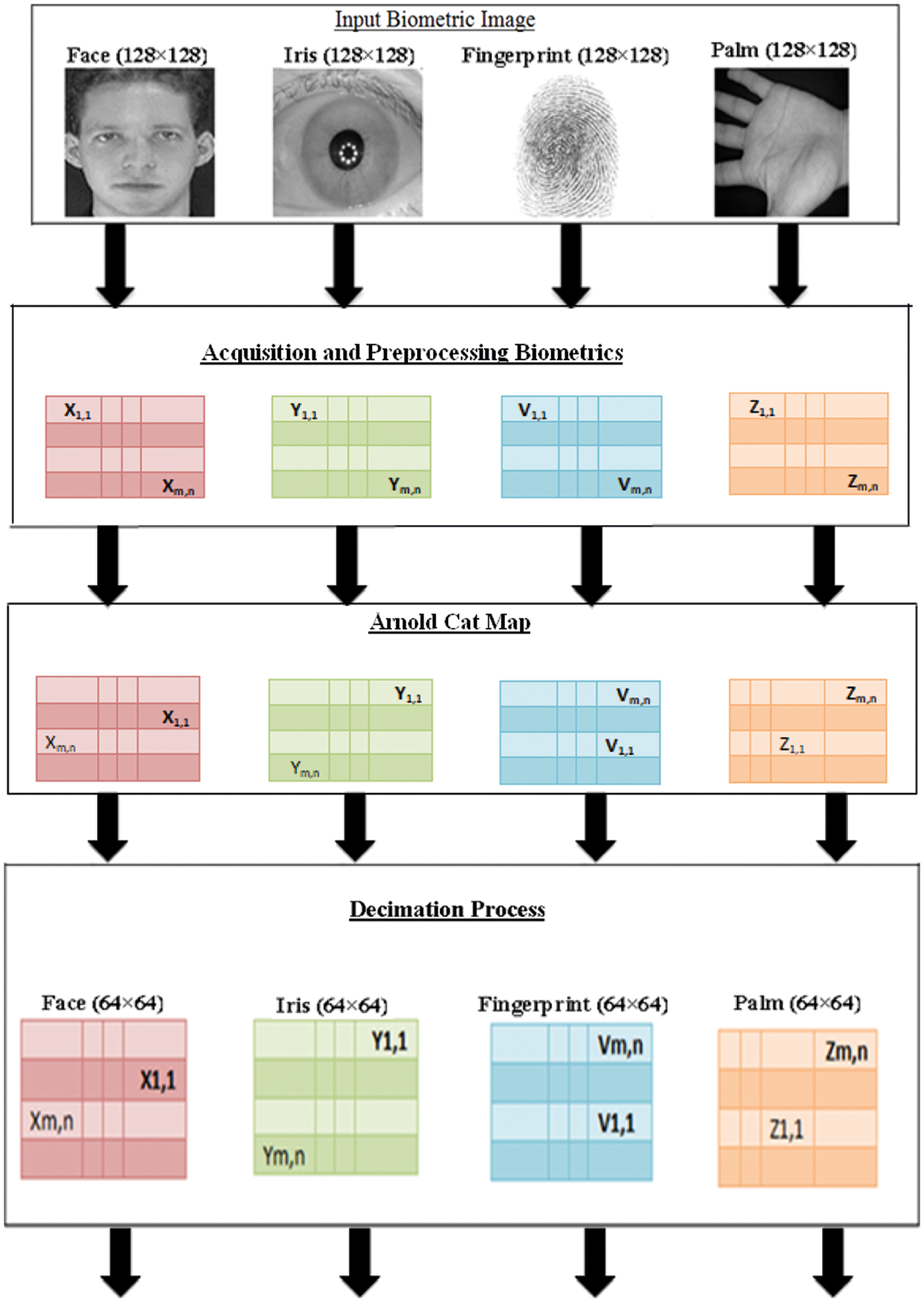 Cancellable Multi-Biometric Template Generation Based on Arnold Cat Map and Aliasing