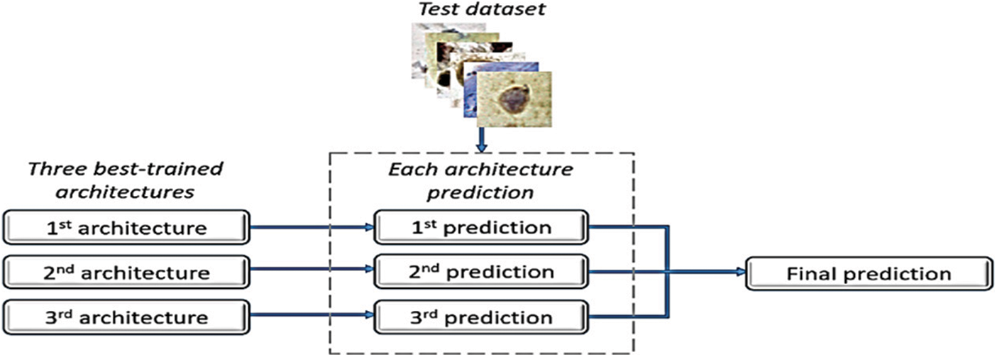 Cervical Cancer Classification Using Combined Machine Learning and Deep ...