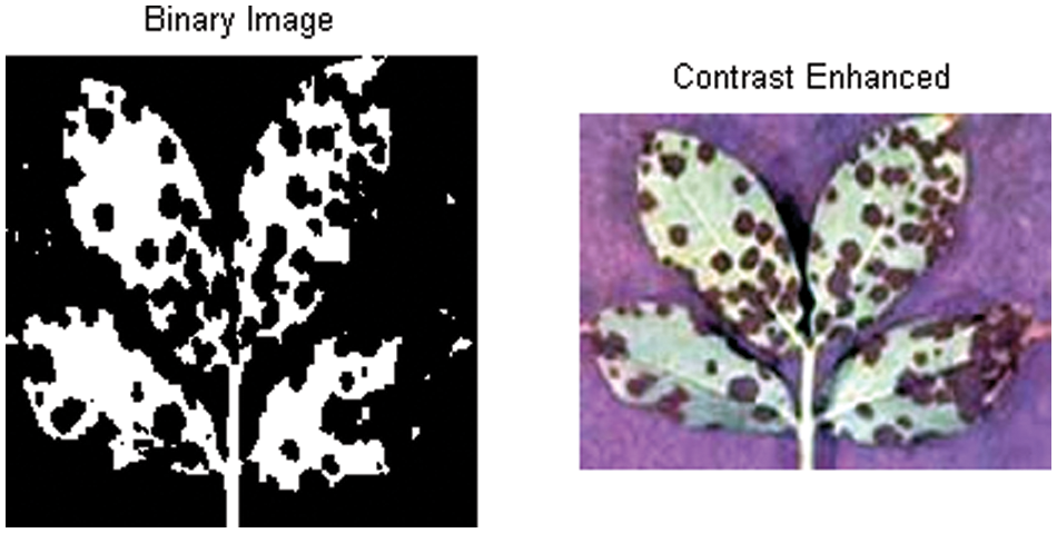 Feature Extraction And Classification Of Plant Leaf Diseases Using Deep