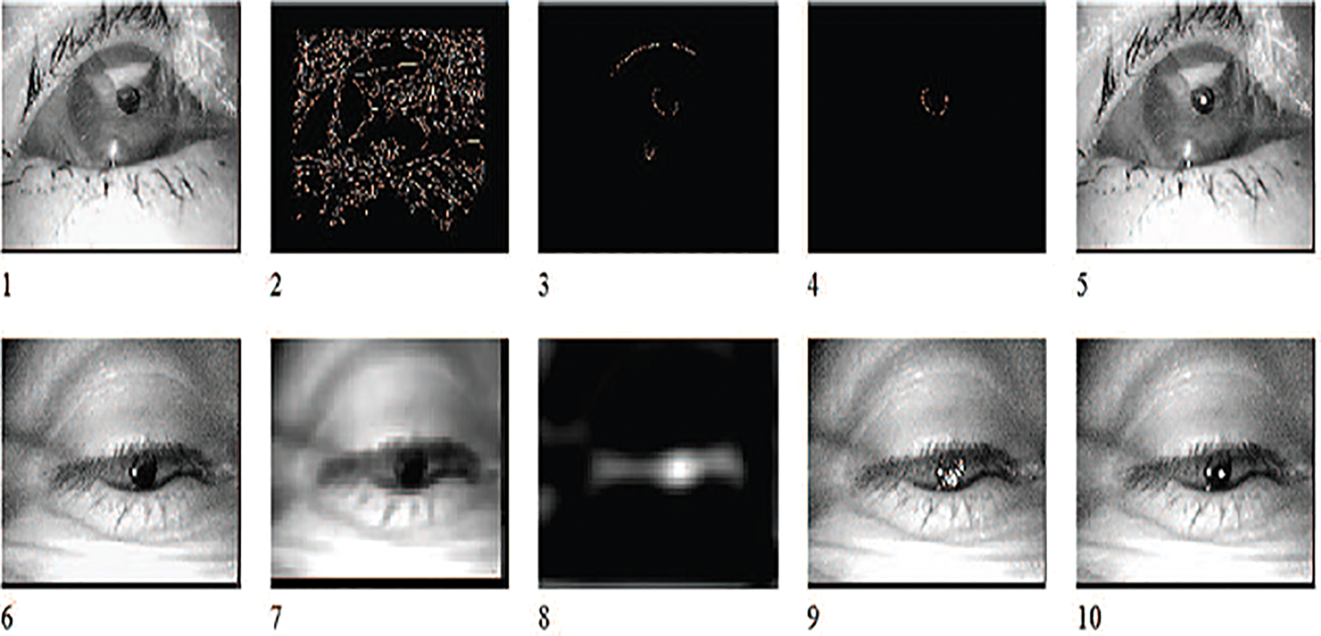 Robust and High Accuracy Algorithm for Detection of Pupil Images