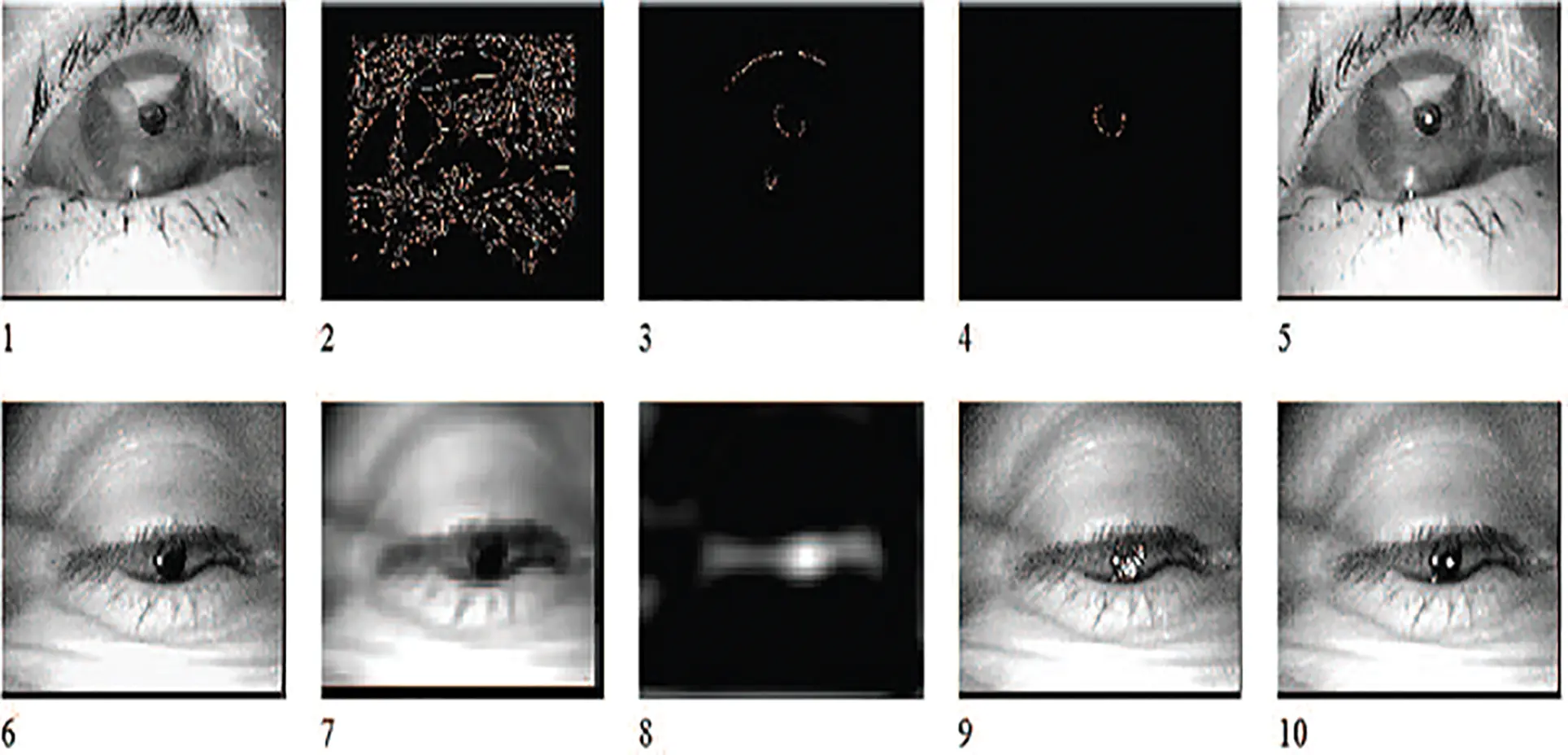 Robust and High Accuracy Algorithm for Detection of Pupil Images