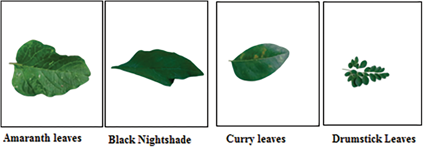 A Novel Convolutional Neural Networks Based Spinach Classification and ...