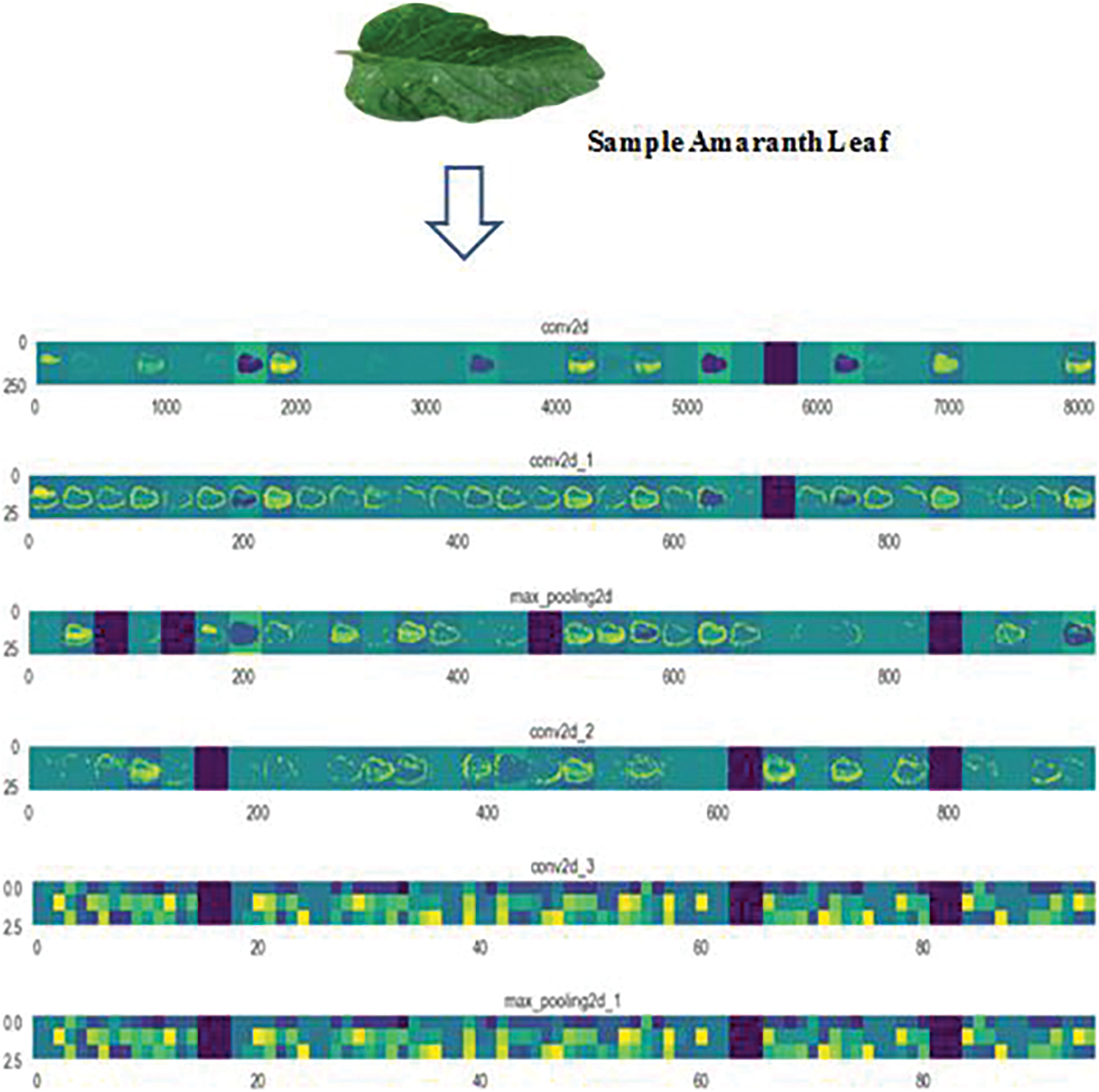 A Novel Convolutional Neural Networks Based Spinach Classification and Recognition System