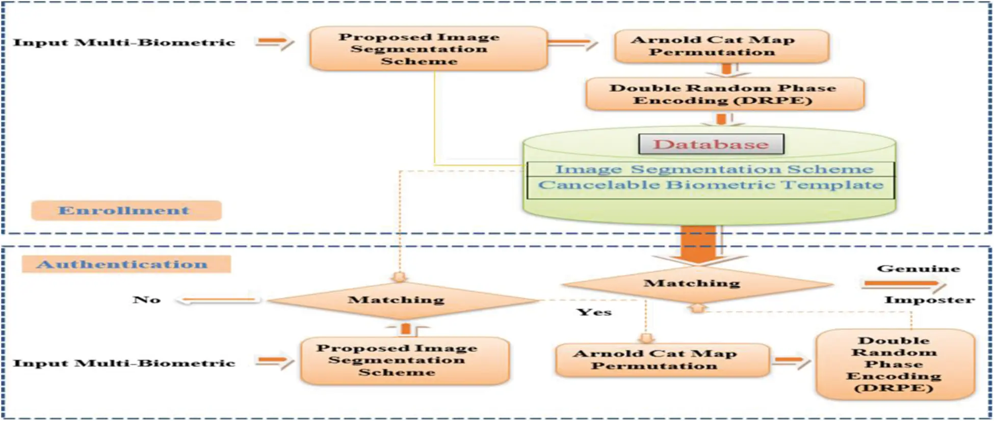 Secure Cancelable Template Based on Double Random Phase Encoding and Entropy Segmentation
