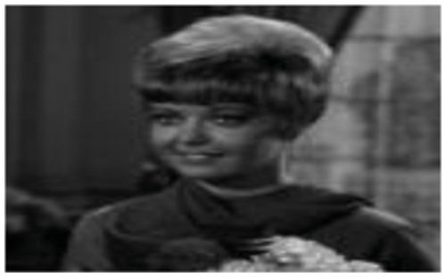 Secure Cancelable Template Based on Double Random Phase Encoding and Entropy Segmentation