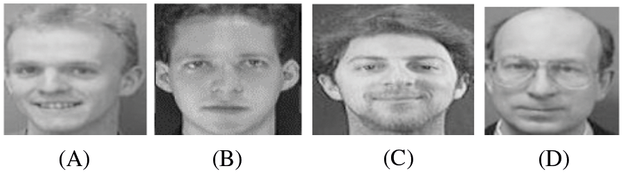 Secure Cancelable Template Based on Double Random Phase Encoding and Entropy Segmentation