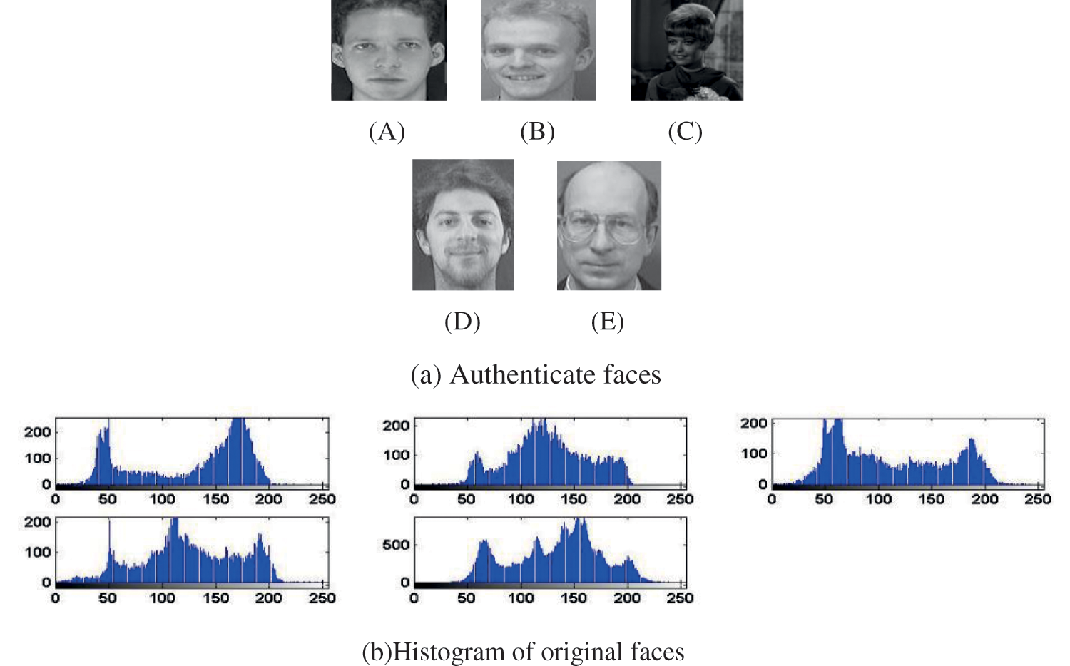 Secure Cancelable Template Based on Double Random Phase Encoding and Entropy Segmentation