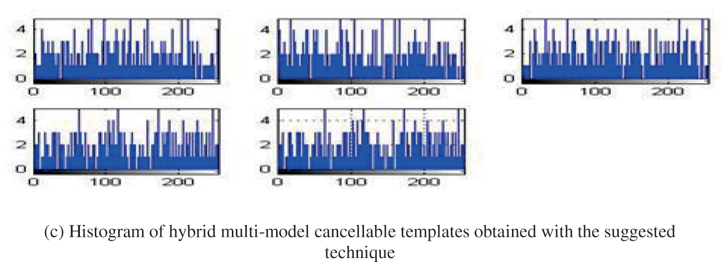 Secure Cancelable Template Based on Double Random Phase Encoding and Entropy Segmentation
