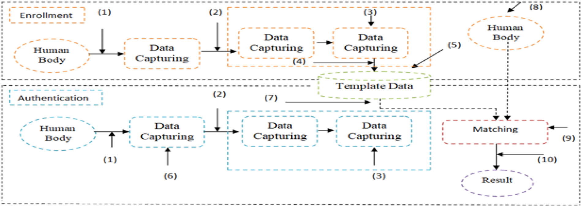 Secure Cancelable Template Based on Double Random Phase Encoding and Entropy Segmentation