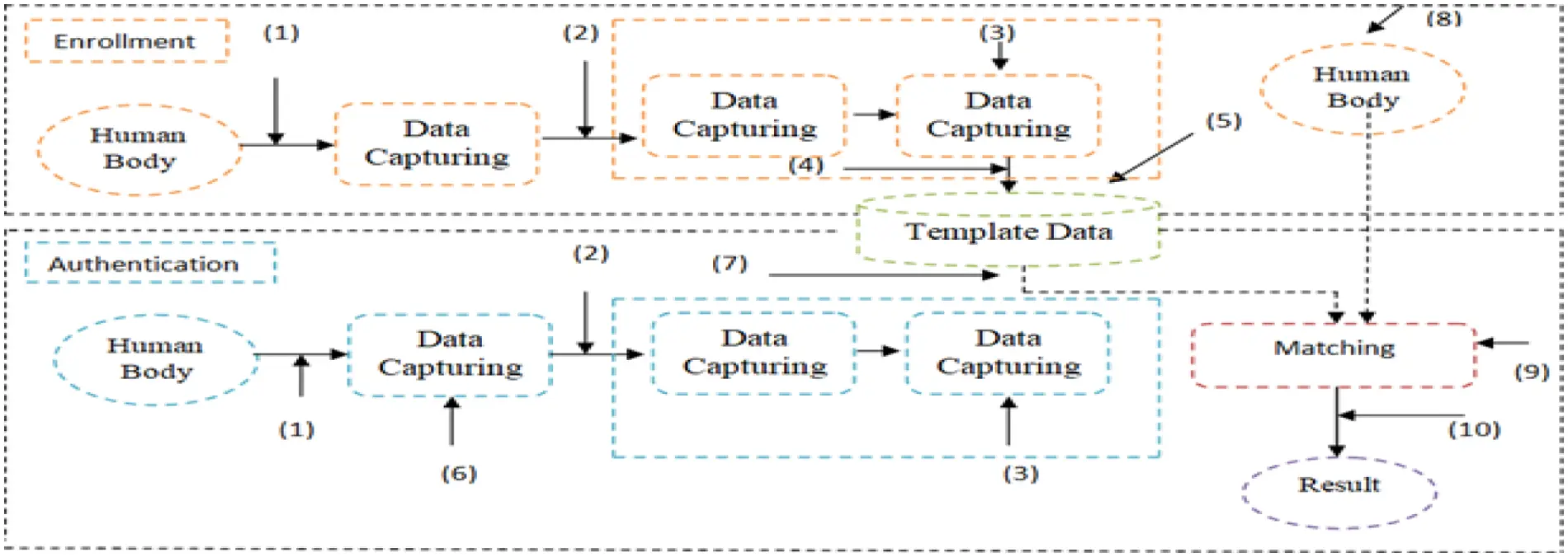 Secure Cancelable Template Based on Double Random Phase Encoding and Entropy Segmentation