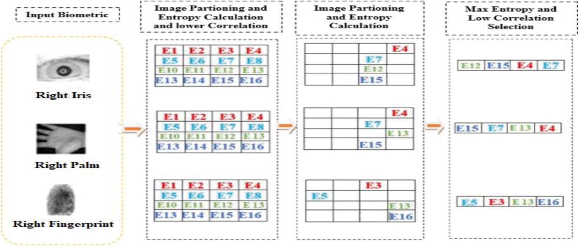 Secure Cancelable Template Based on Double Random Phase Encoding and Entropy Segmentation