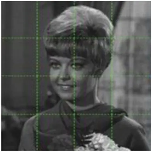 Secure Cancelable Template Based on Double Random Phase Encoding and Entropy Segmentation