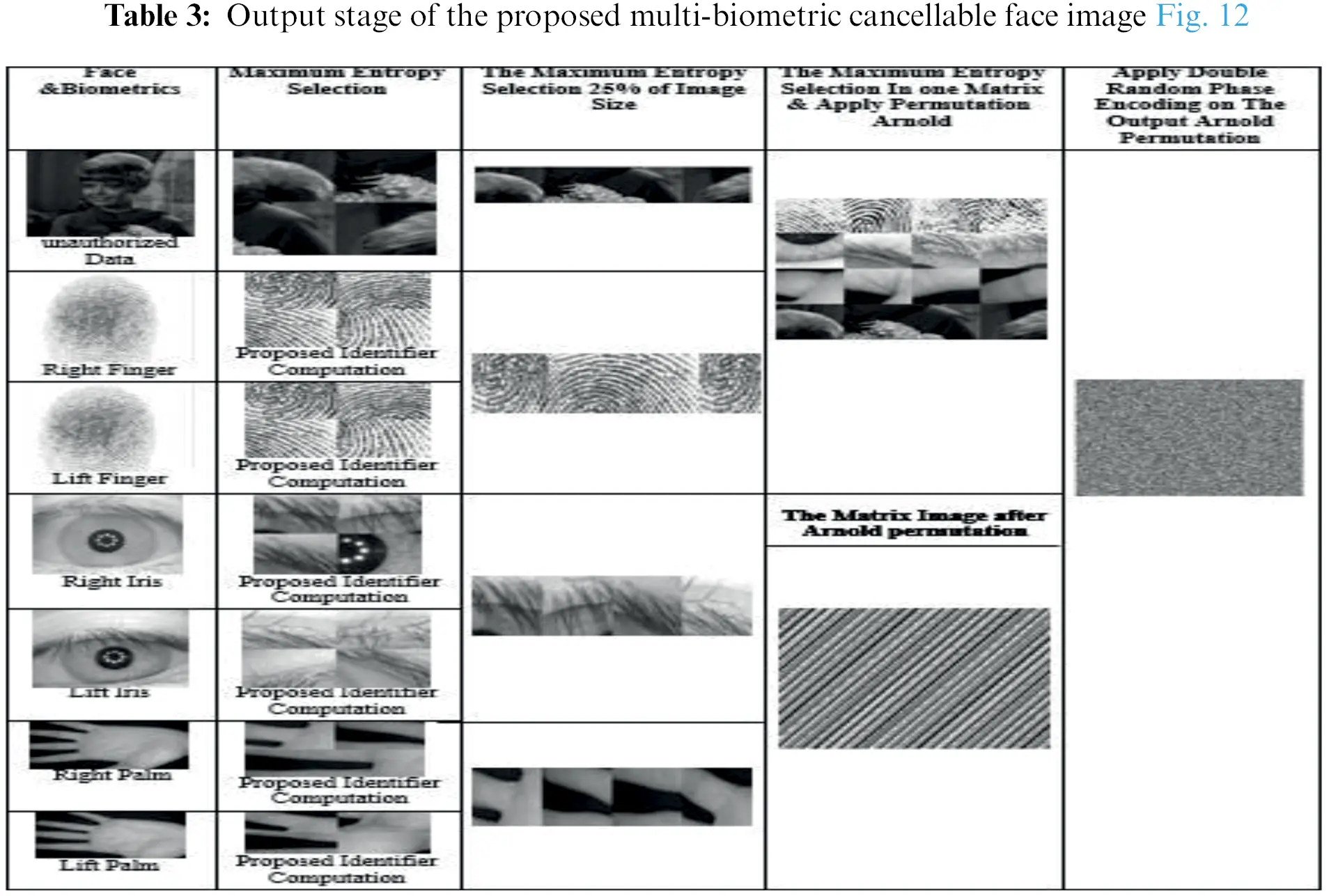 Secure Cancelable Template Based on Double Random Phase Encoding and Entropy Segmentation