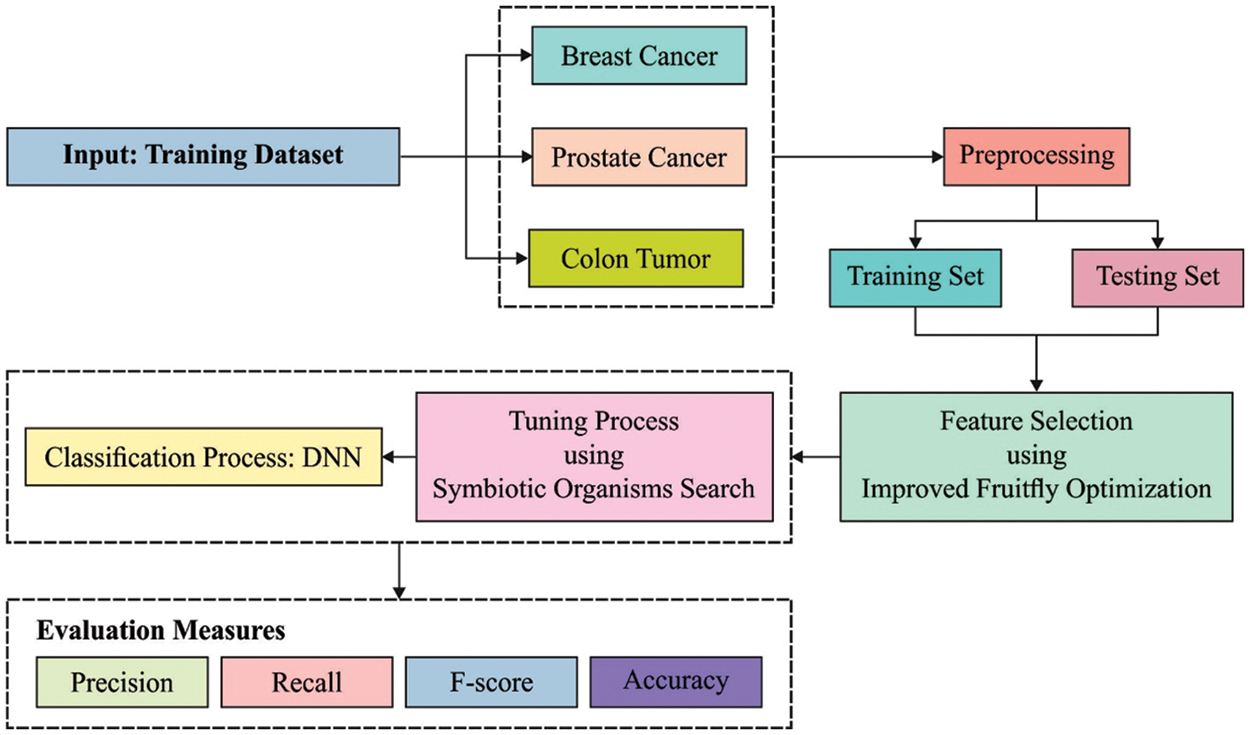 Deep Learning Enabled Microarray Gene Expression Classification for Data Science Applications