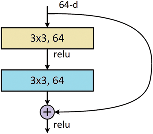 Transfer Learning for Chest X-rays Diagnosis Using Dipper Throated ...