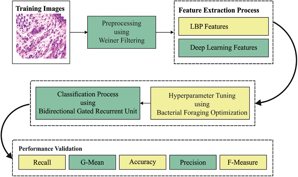 Ensemble of Handcrafted and Deep Learning Model for Histopathological Image Classification
