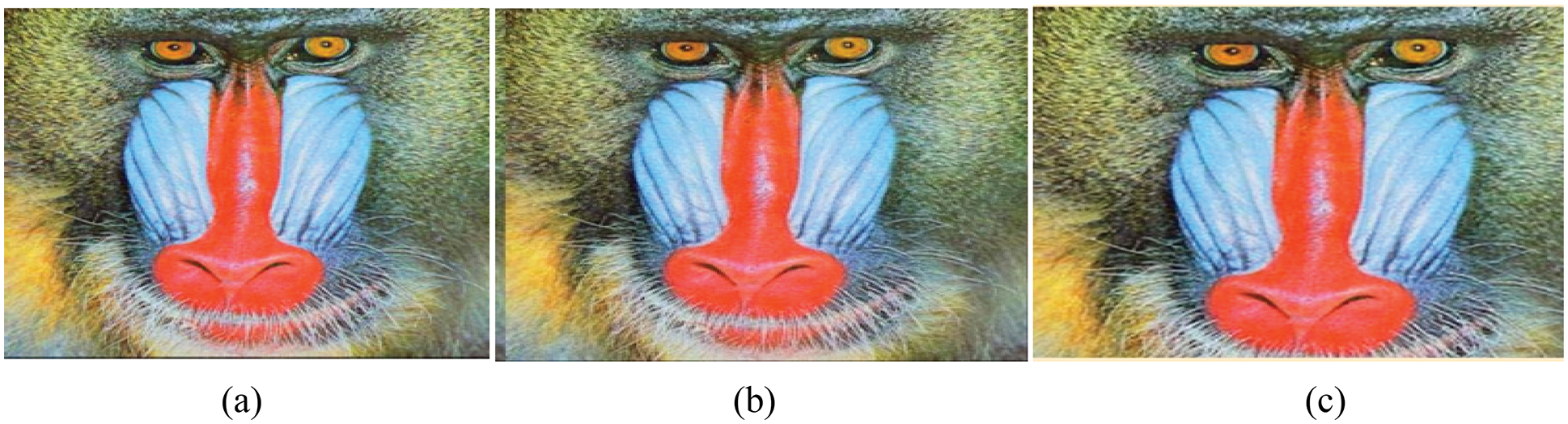 Truncation and Rounding-Based Scalable Approximate Multiplier Design for Computer Imaging ...