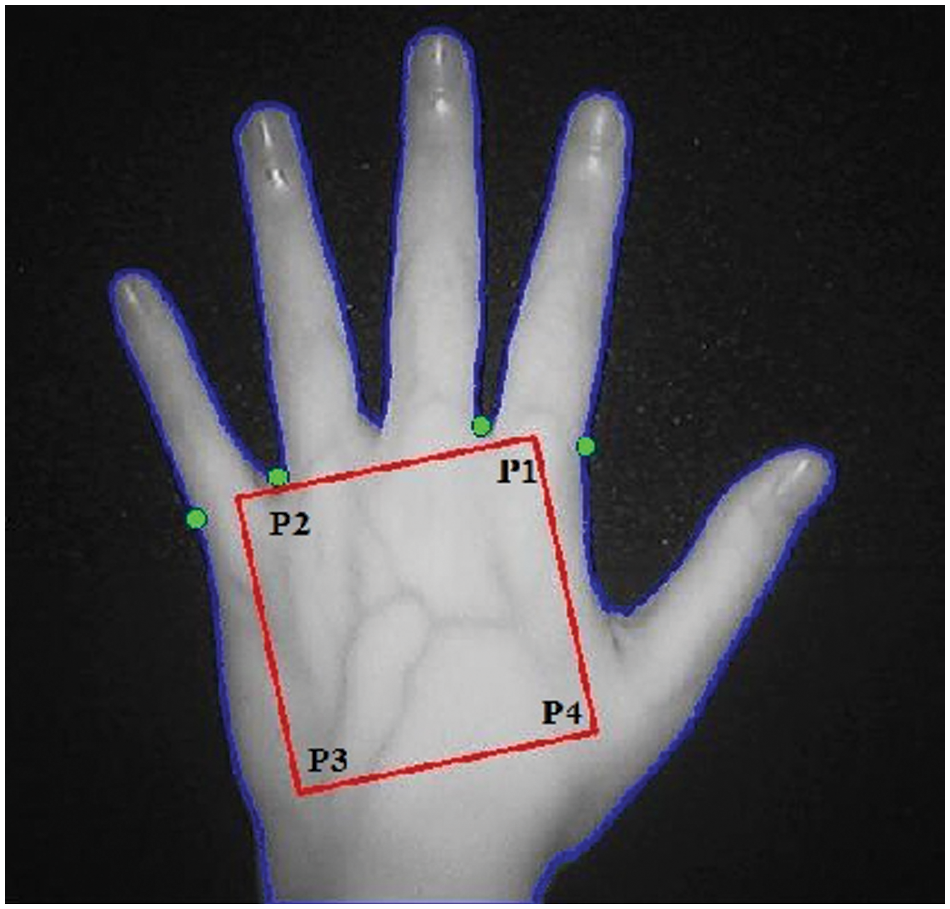 Unconstrained Hand Dorsal Veins Image Database and Recognition System