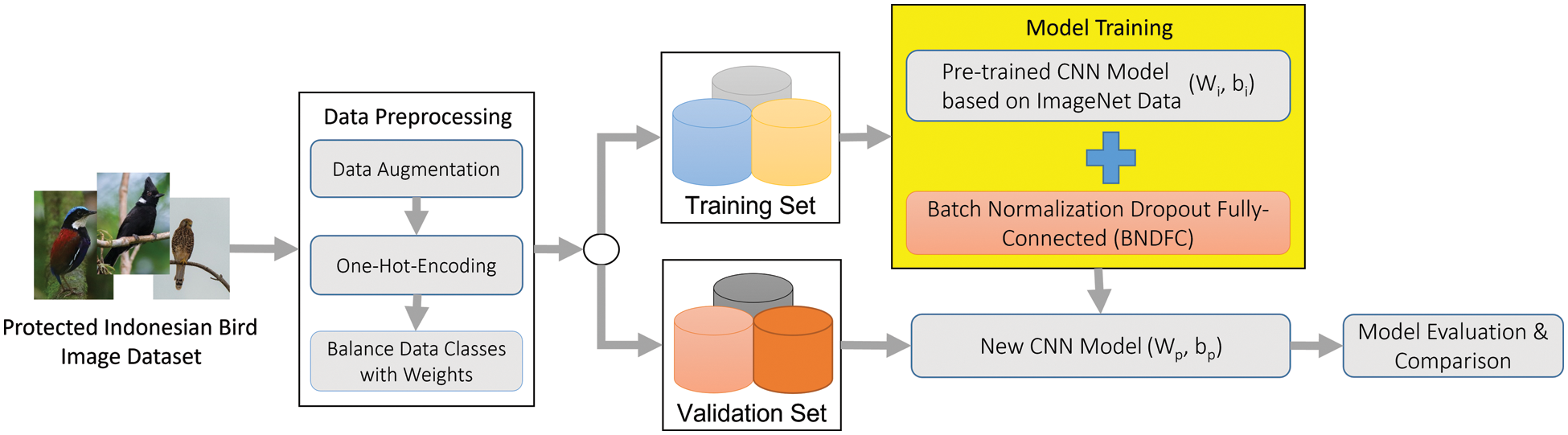 An Improved Transfer-Learning for Image-Based Species Classification of ...