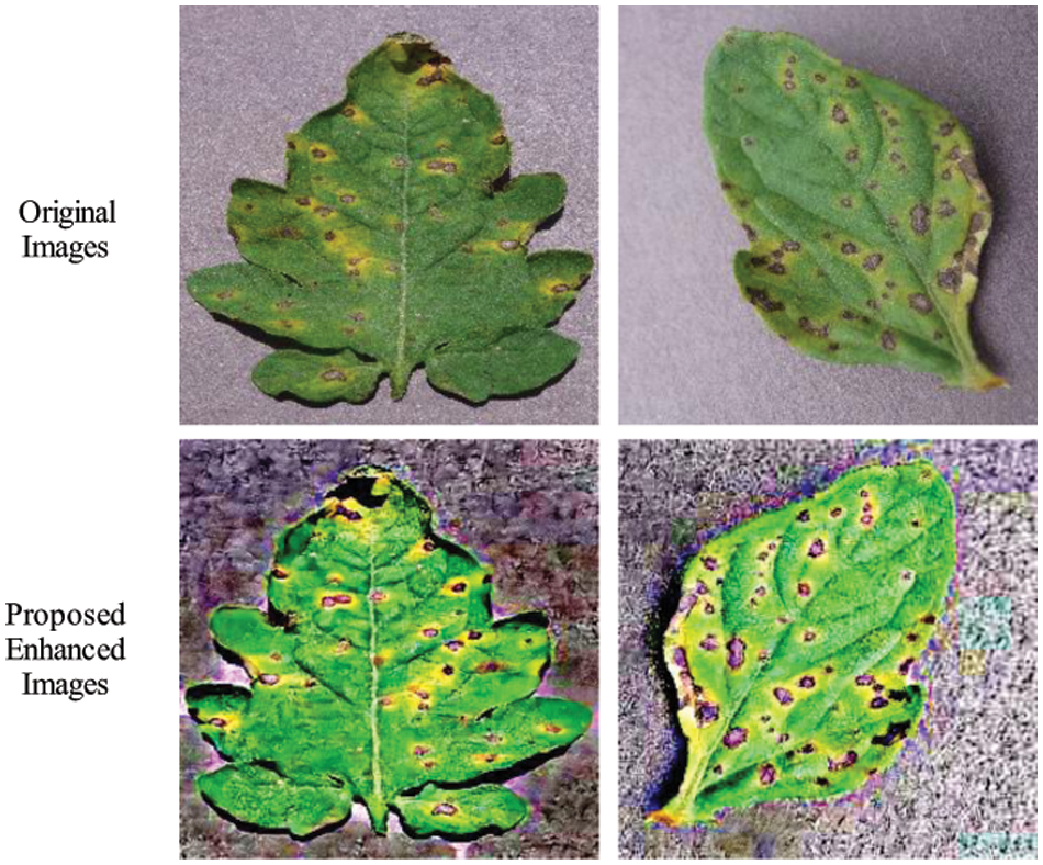 CMC | Free Full-Text | Crops Leaf Diseases Recognition: A Framework of ...