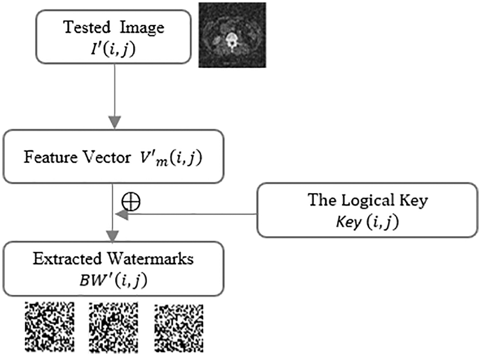 CMC | Free Full-Text | A Multi-Watermarking Algorithm for Medical Images Using Inception V3 and DCT