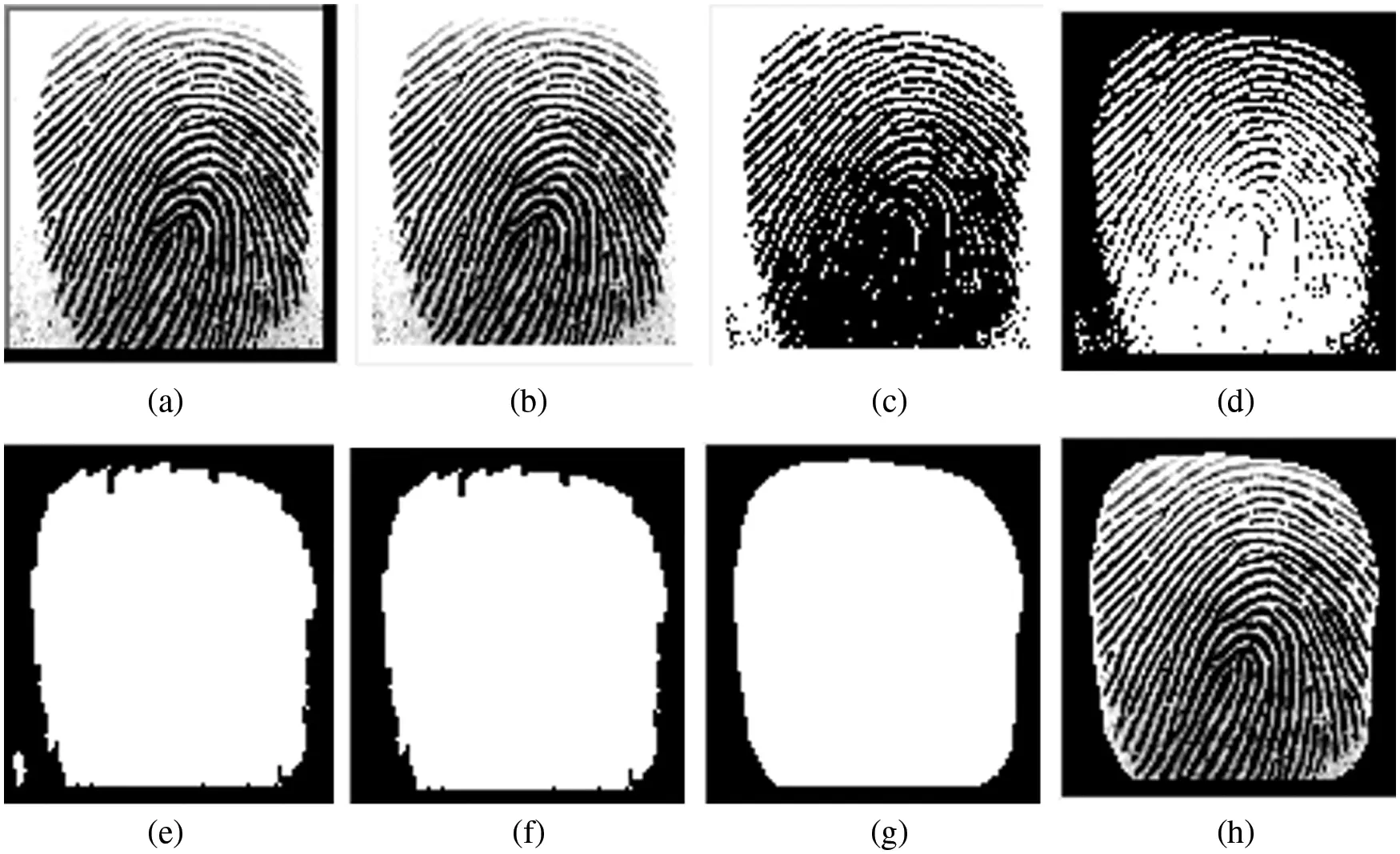 CMC | Free Full-Text | Real and Altered Fingerprint Classification ...