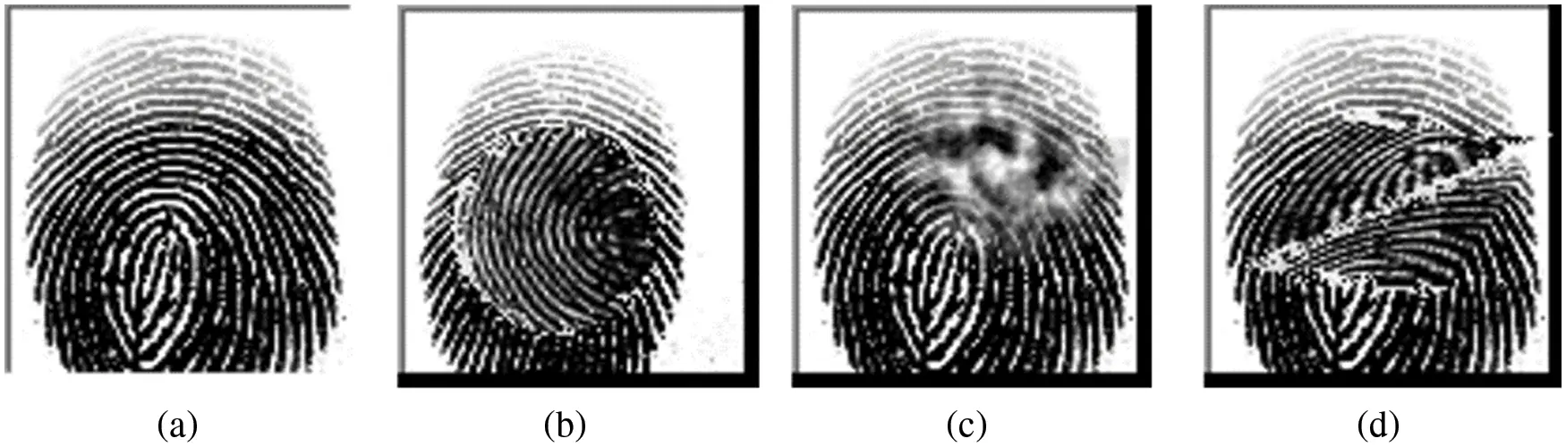 CMC | Free Full-Text | Real and Altered Fingerprint Classification ...