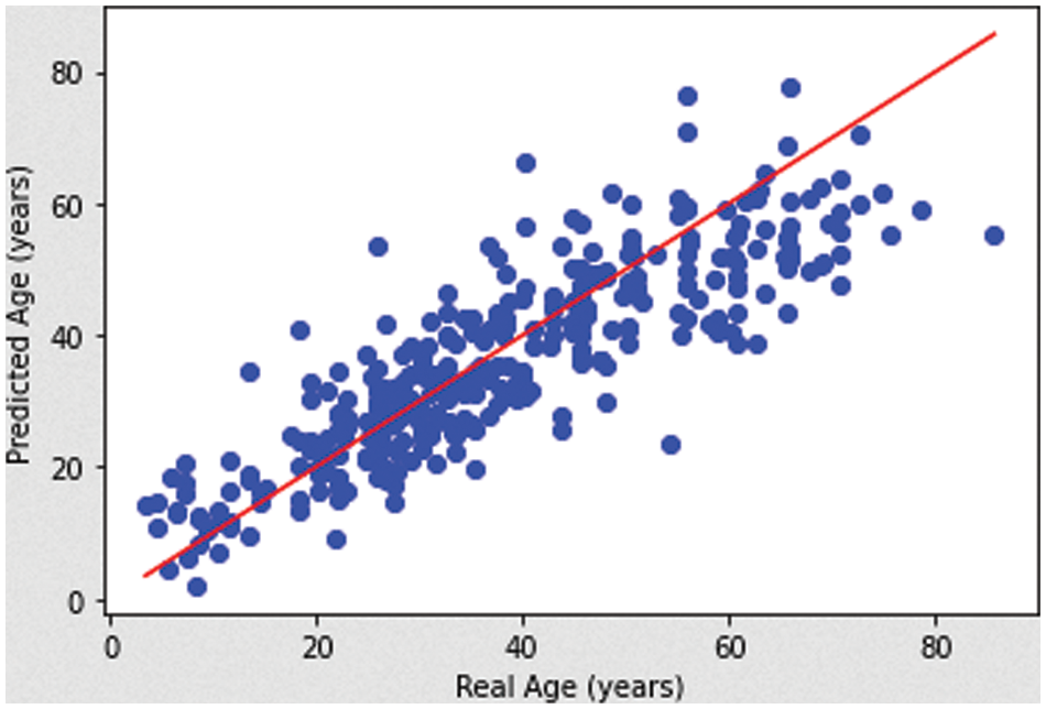CMC | Free Full-Text | Enhancing CNN for Forensics Age Estimation Using ...