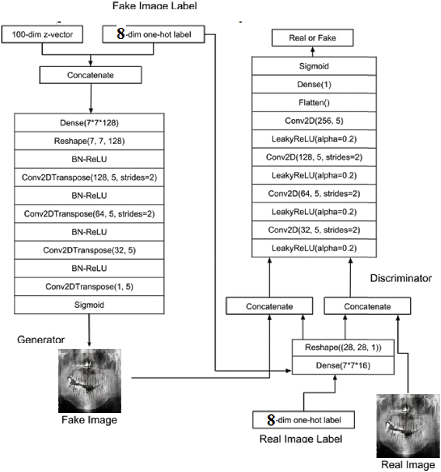 CMC | Free Full-Text | Enhancing CNN for Forensics Age Estimation Using CGAN and Pseudo-Labelling