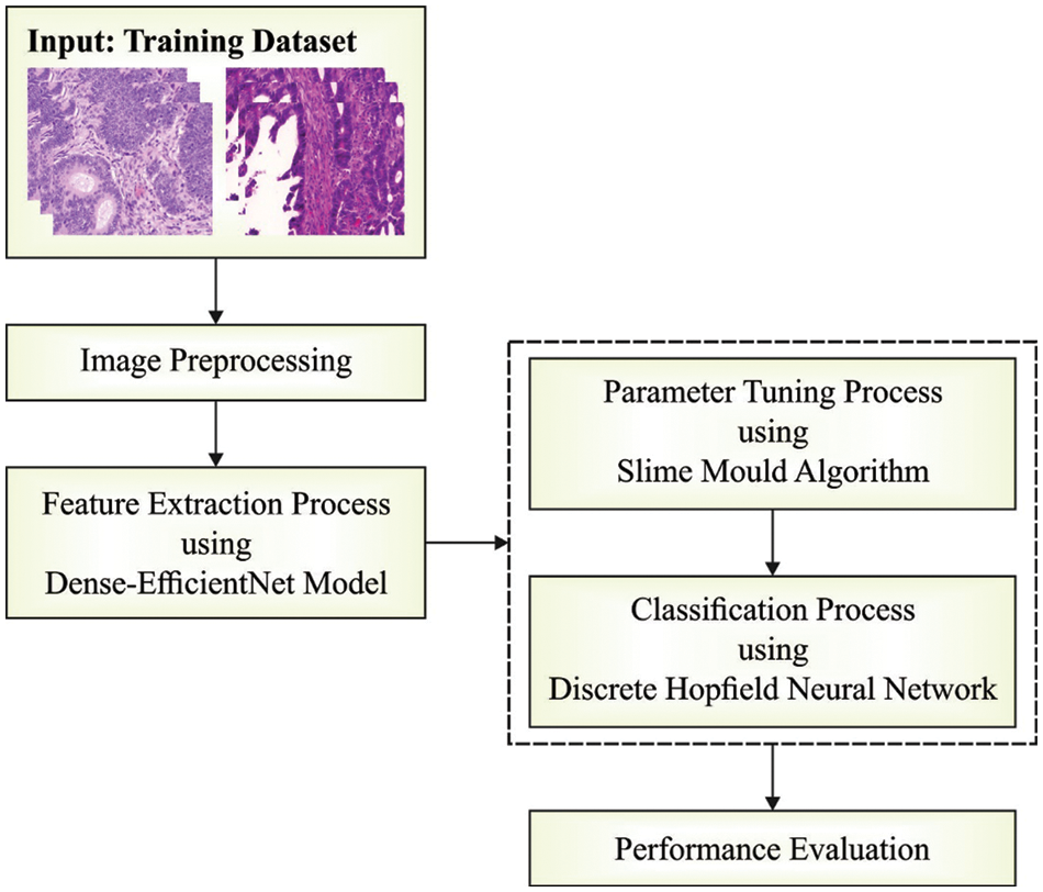 CMC | Free Full-Text | Optimal Deep Transfer Learning Based Colorectal Cancer Detection and ...