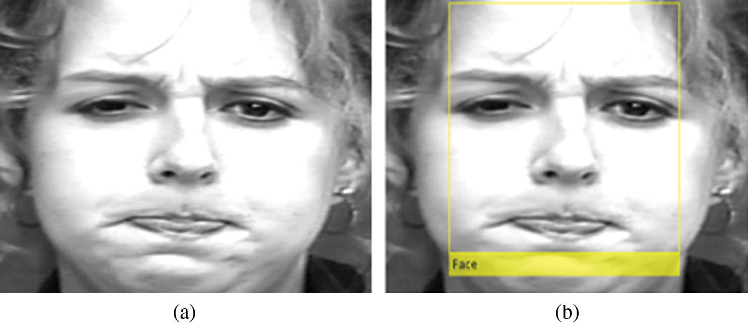 A Machine Learning Approach for Expression Detection in Healthcare ...