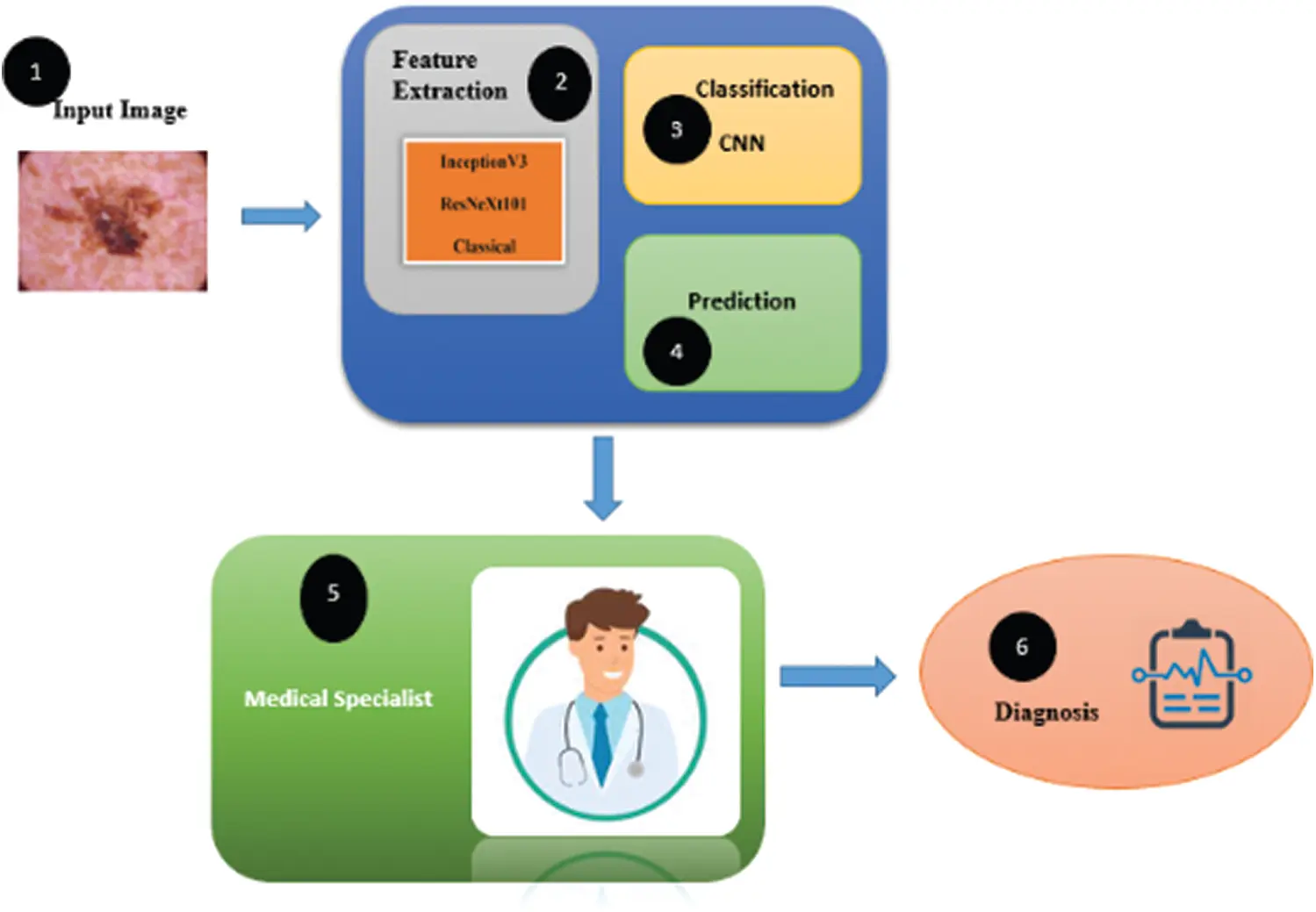 Intelligent Multiclass Skin Cancer Detection Using Convolution Neural ...